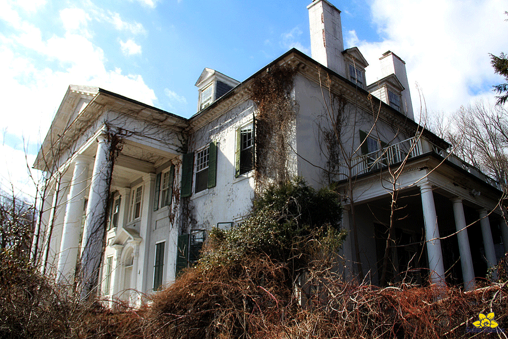 Selmas history and photos before and after RESTORATION – Pages of Past