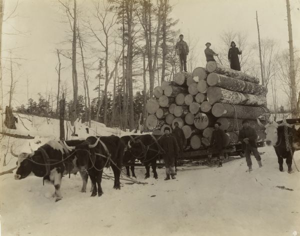 A logging story through pictures – Pages of Past